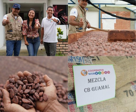 Cacao de Guamal (Meta) fue reconocido entre los 50 mejores del mundo ...